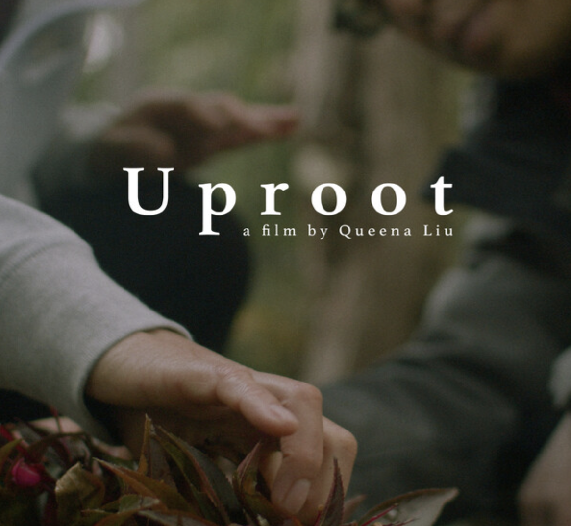 Festivals passés – Au Contraire Film Festival